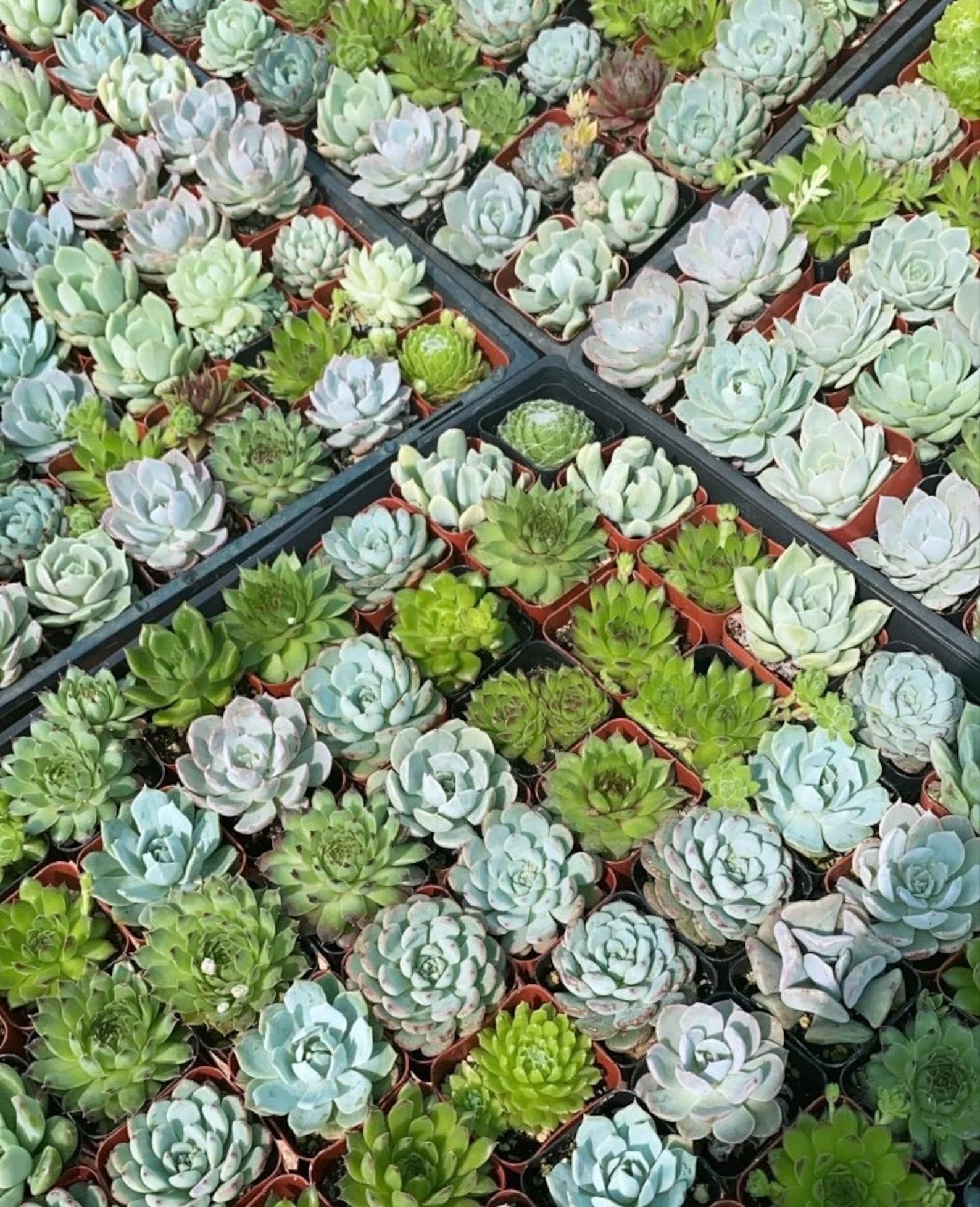 Sending PEACE LOVE & COMFORT | Sending Comfort Gift Box | Comfort Gift ...