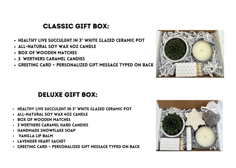 HAPPY HANUKKAH Gift Box Succulent and Candle Hanukkah Gift - Etsy