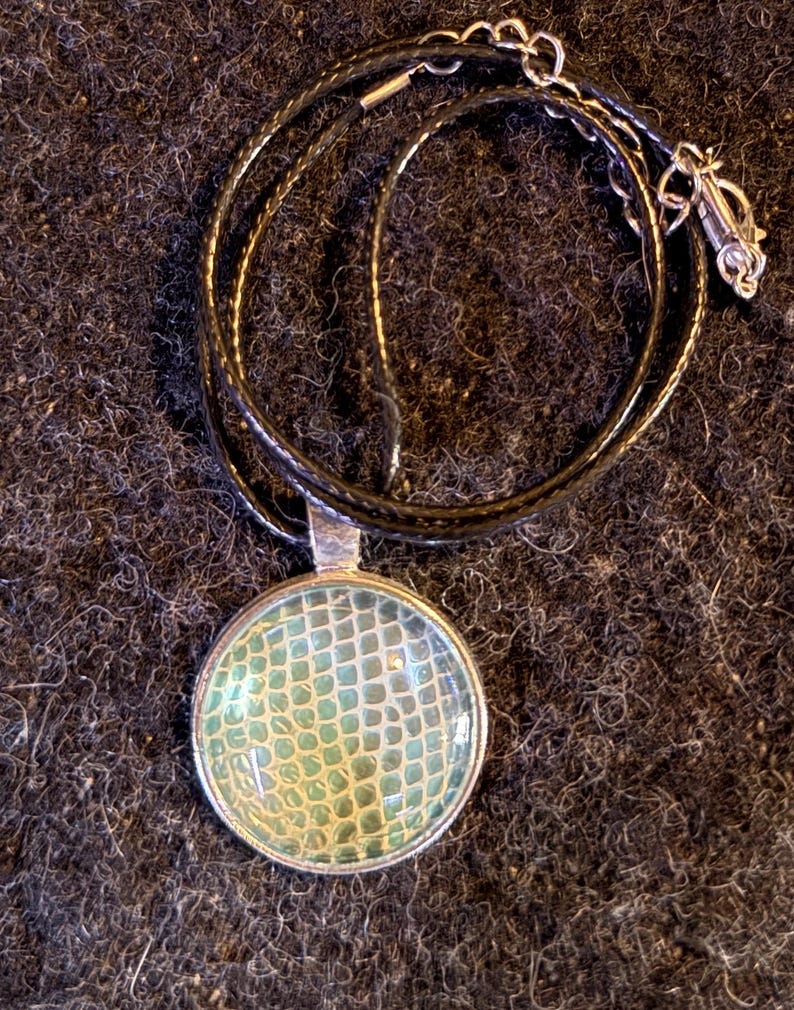 Shed Skin Necklace - Real Snake Skin Jewelry - Reptile Lover Gift ...