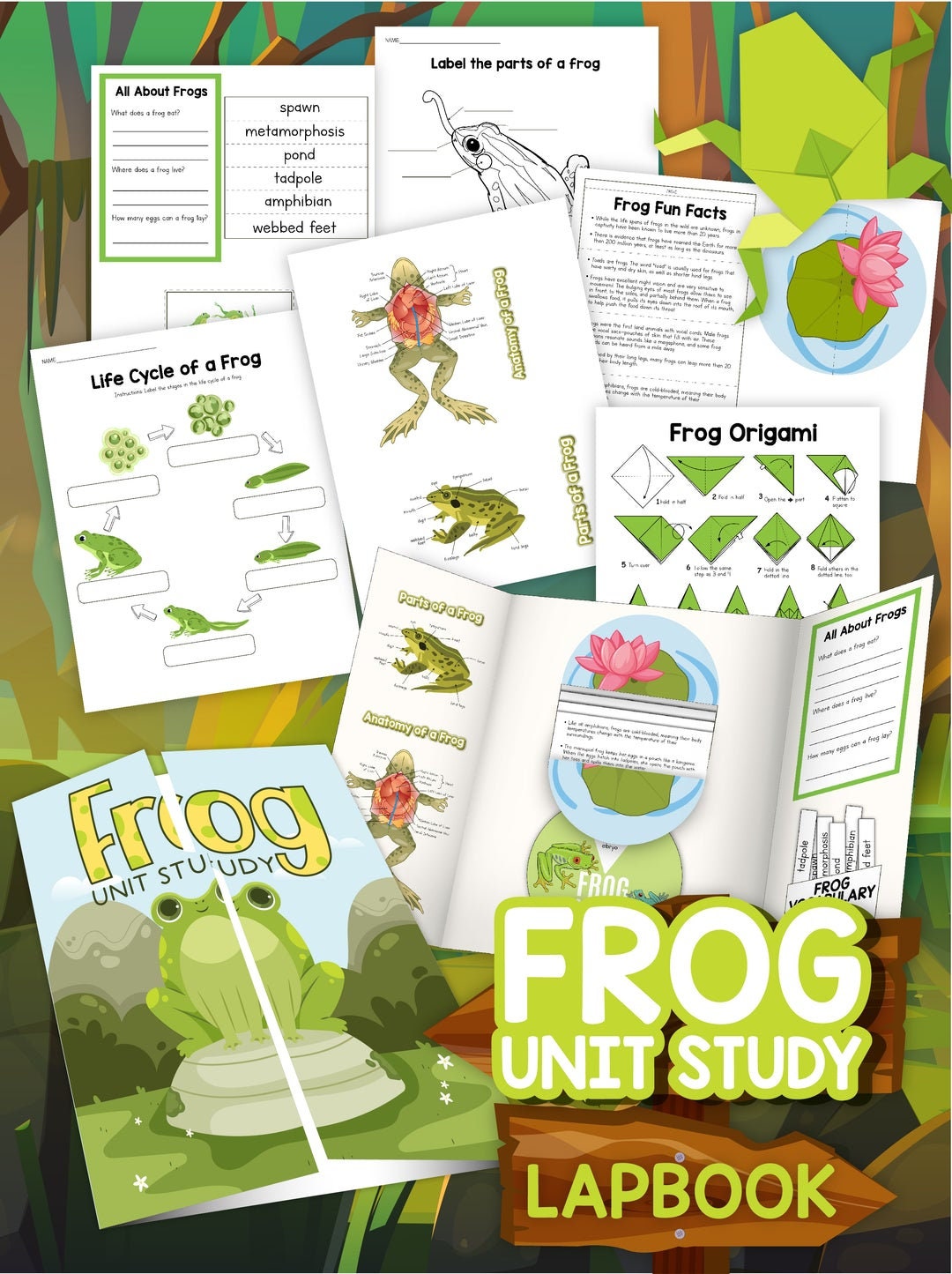 Printable Work Book: Frog Life Cycle Engage and Educate Children on ...