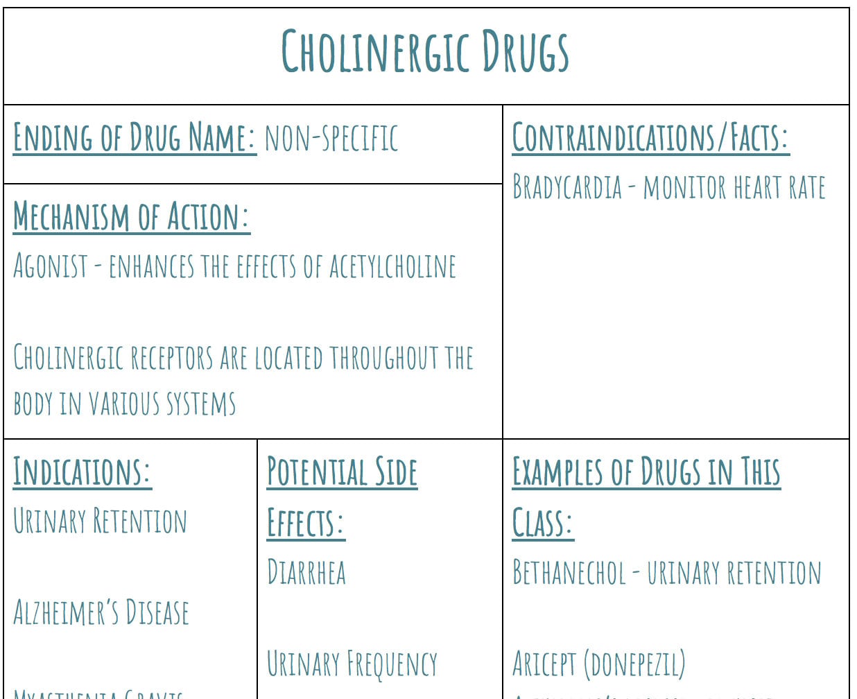 Cholinergic Pharm Cheat Sheet - Etsy