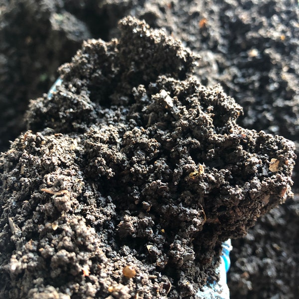 Worm Castings - Etsy