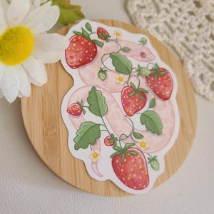 Hognose Snake With Strawberries Sticker | Cute Snake | Reptile Decor ...