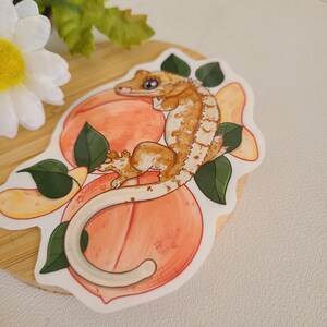 Crested Gecko With Peaches Sticker | Reptiles | Vinyl Glossy ...