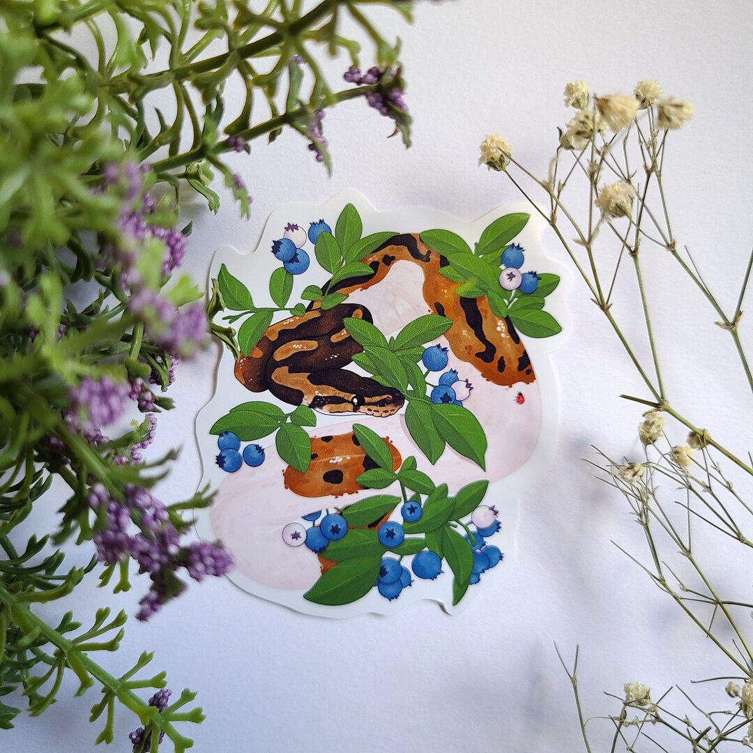 Pied Ball Python With Blueberries Sticker | Reptile Decor | Glossy ...