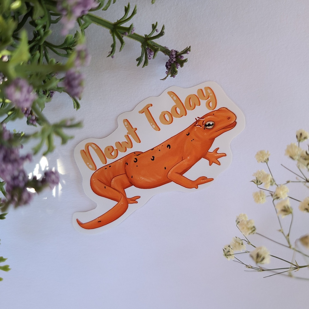 Newt Today// Newt Pun Sticker | Amphibian | Reptile | Not Today ...