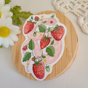 Hognose Snake With Strawberries Sticker | Cute Snake | Reptile Decor ...