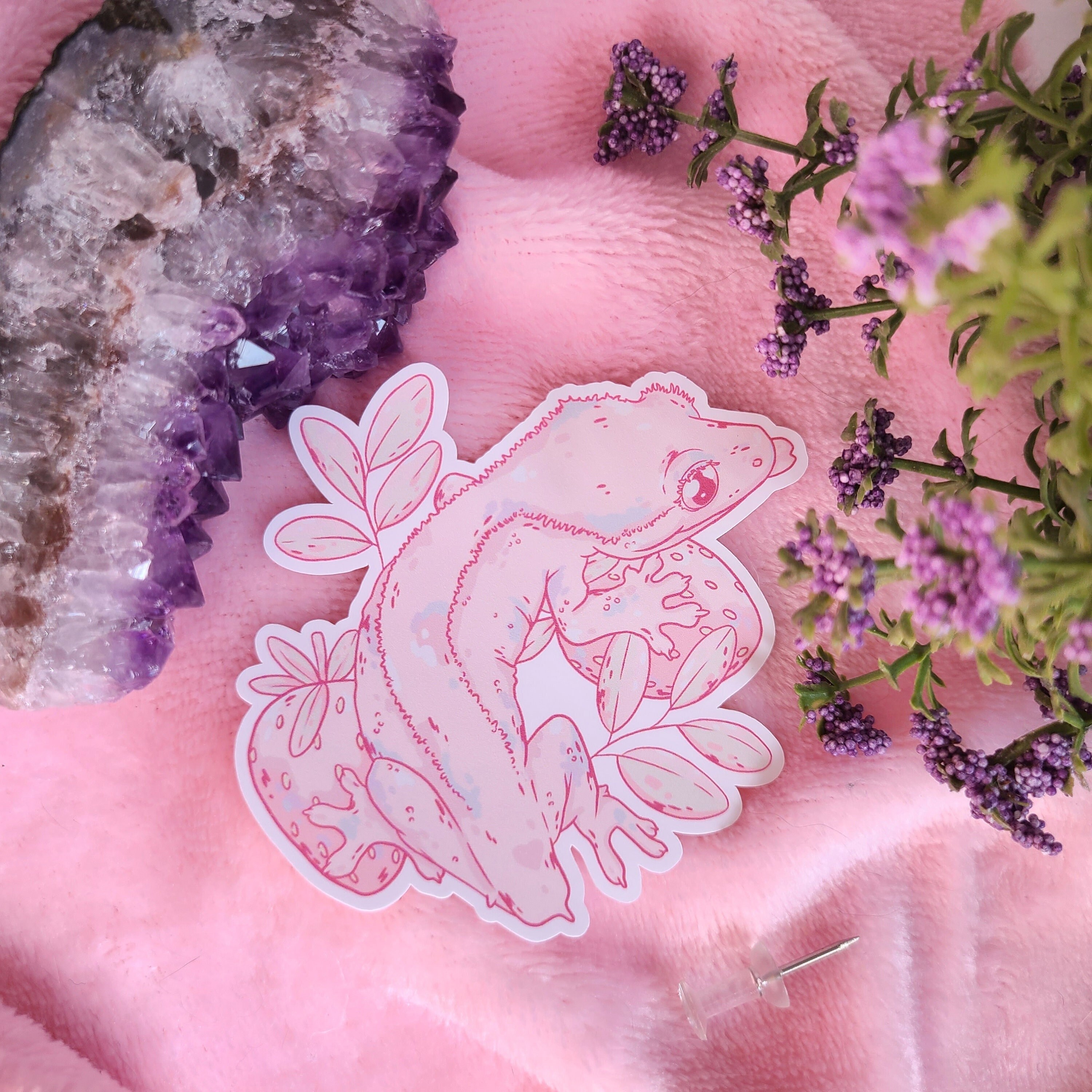 Pink Crested Gecko