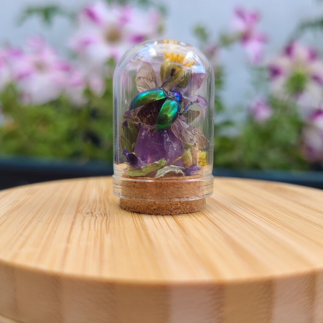 Beetle With Flowers and Amethyst Crystal Minworld Terrarium Dome ...