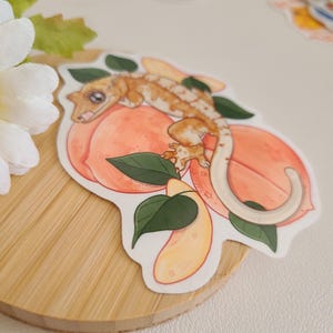 Crested Gecko With Peaches Sticker | Reptiles | Vinyl Glossy ...