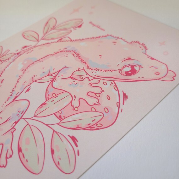 Pink Crested Gecko