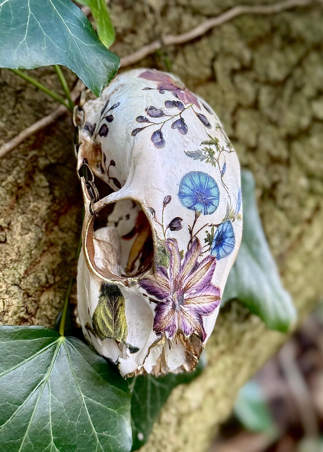 Decoupage Muntjac Doe Skull, Deer, Vulture Culture, Oddities ...