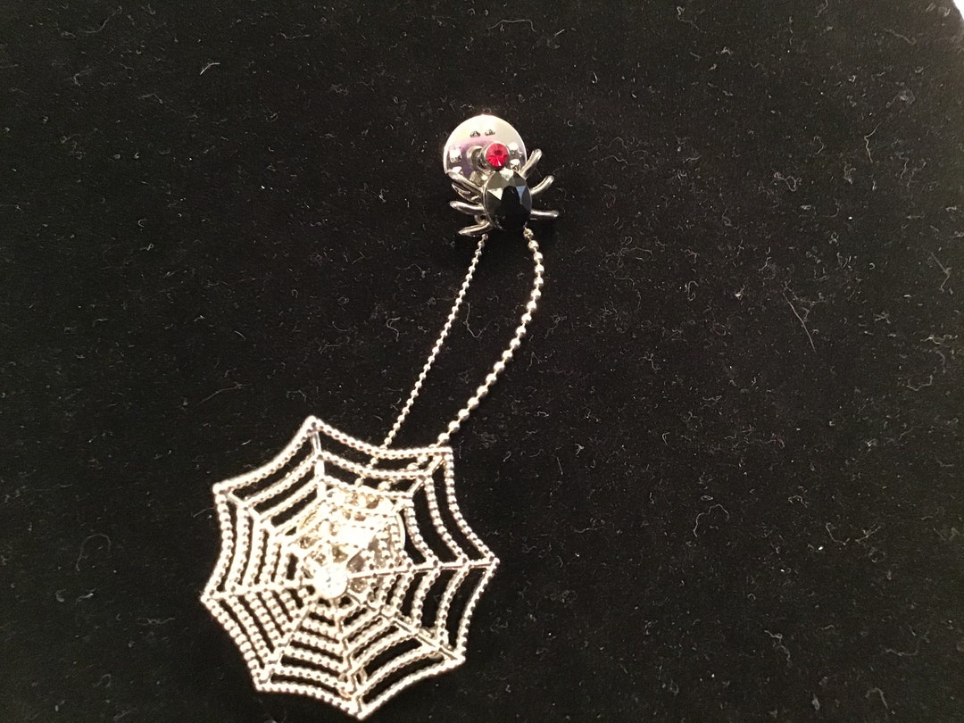 Spider and Web Pin - Etsy