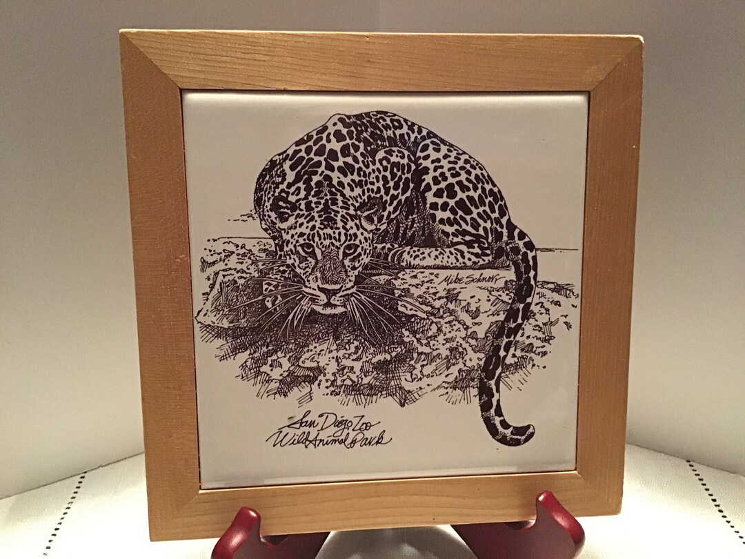 Cheetah Wall Tile San Diego Zoo Wild Animal Pearl 7 3/4s Wall - Etsy