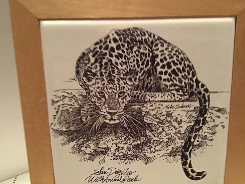Cheetah Wall Tile San Diego Zoo Wild Animal Pearl 7 3/4s Wall - Etsy