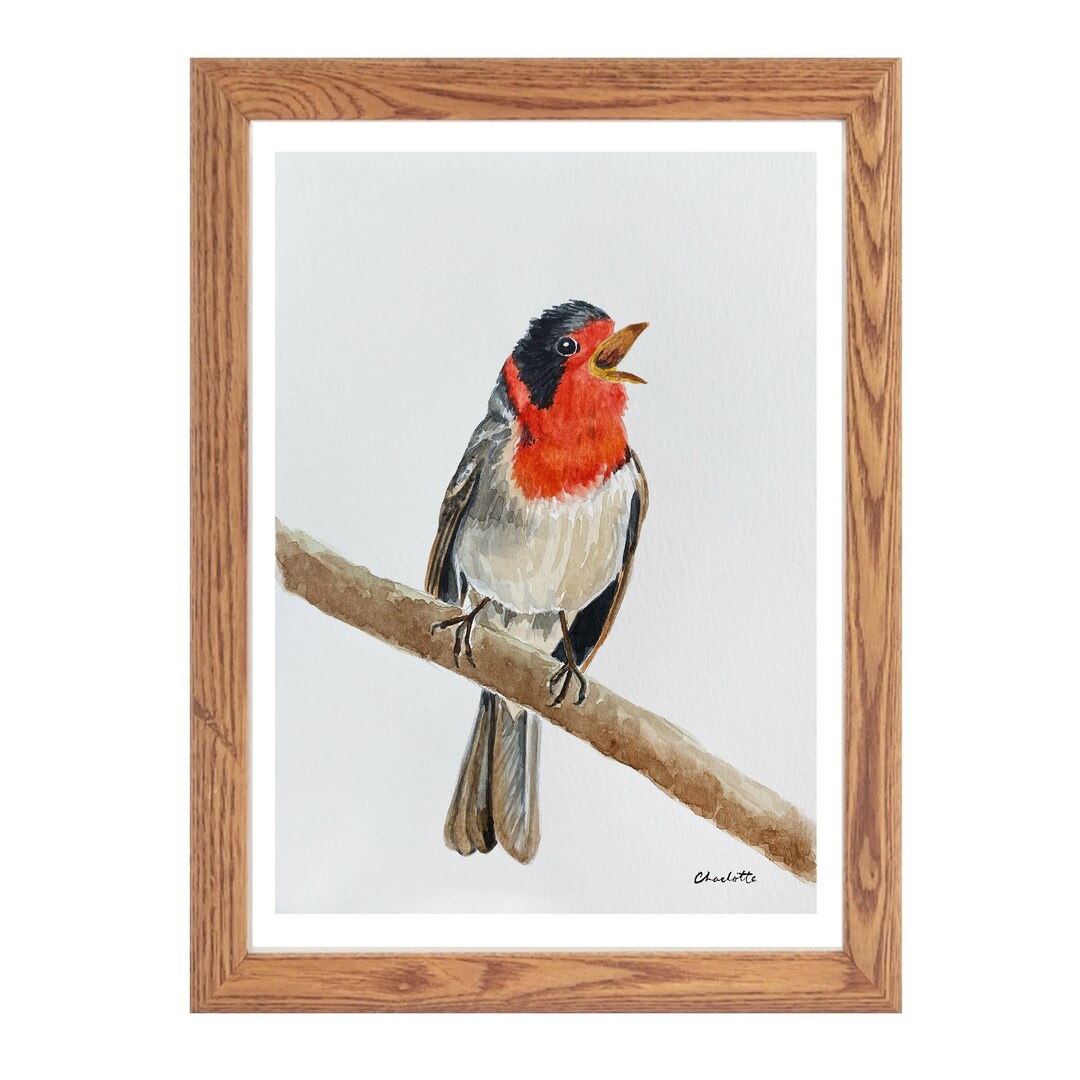 Red-faced Warbler Print on Watercolor Paper - Etsy