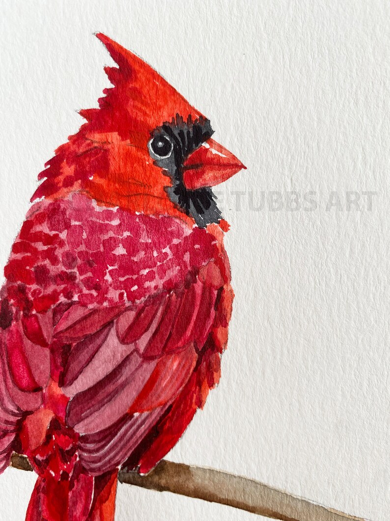 Northern Cardinal Print on Watercolor Paper - Etsy