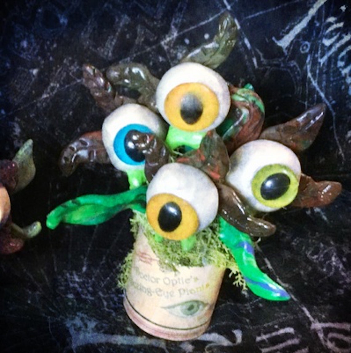 Doctor Optic's Seeing Eye Plants Miniature | Etsy
