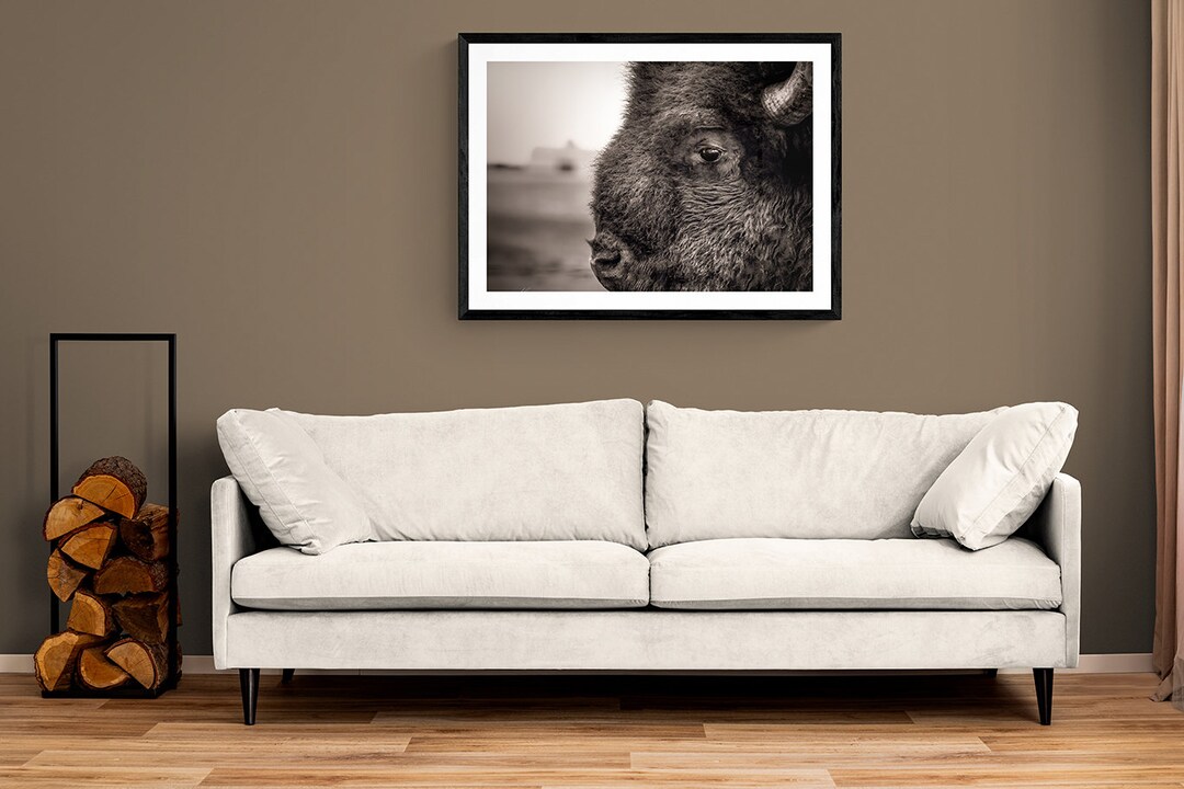 Black and White Buffalo Portrait, American Bison Wall Art,wildlife ...