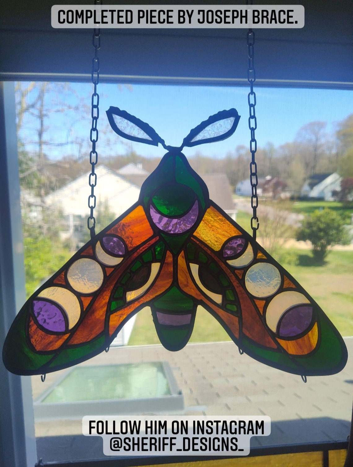 Marvelous Moths Stained Glass Patterns Six Patterns in One | Etsy
