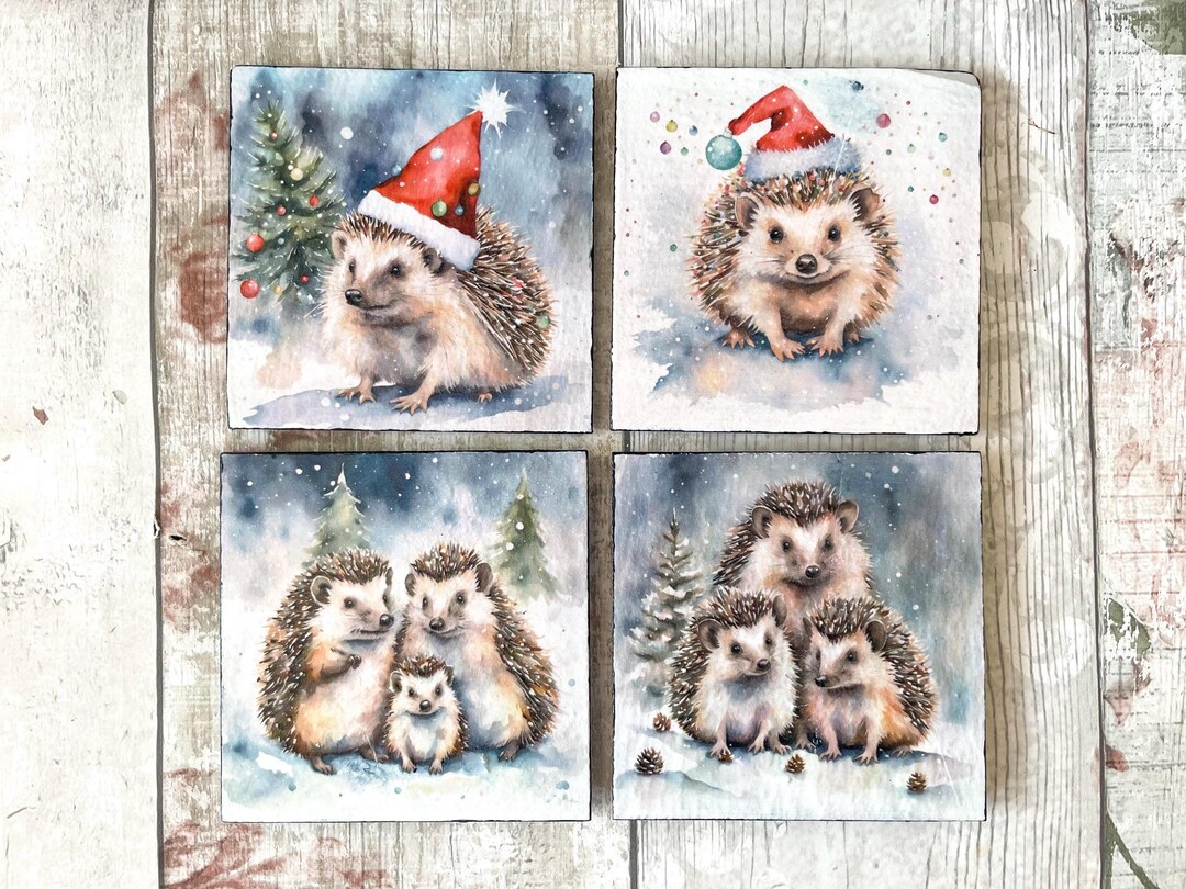 Hedgehog Coasters, Hedgehog Christmas Decoration, Animal Coaster Set ...
