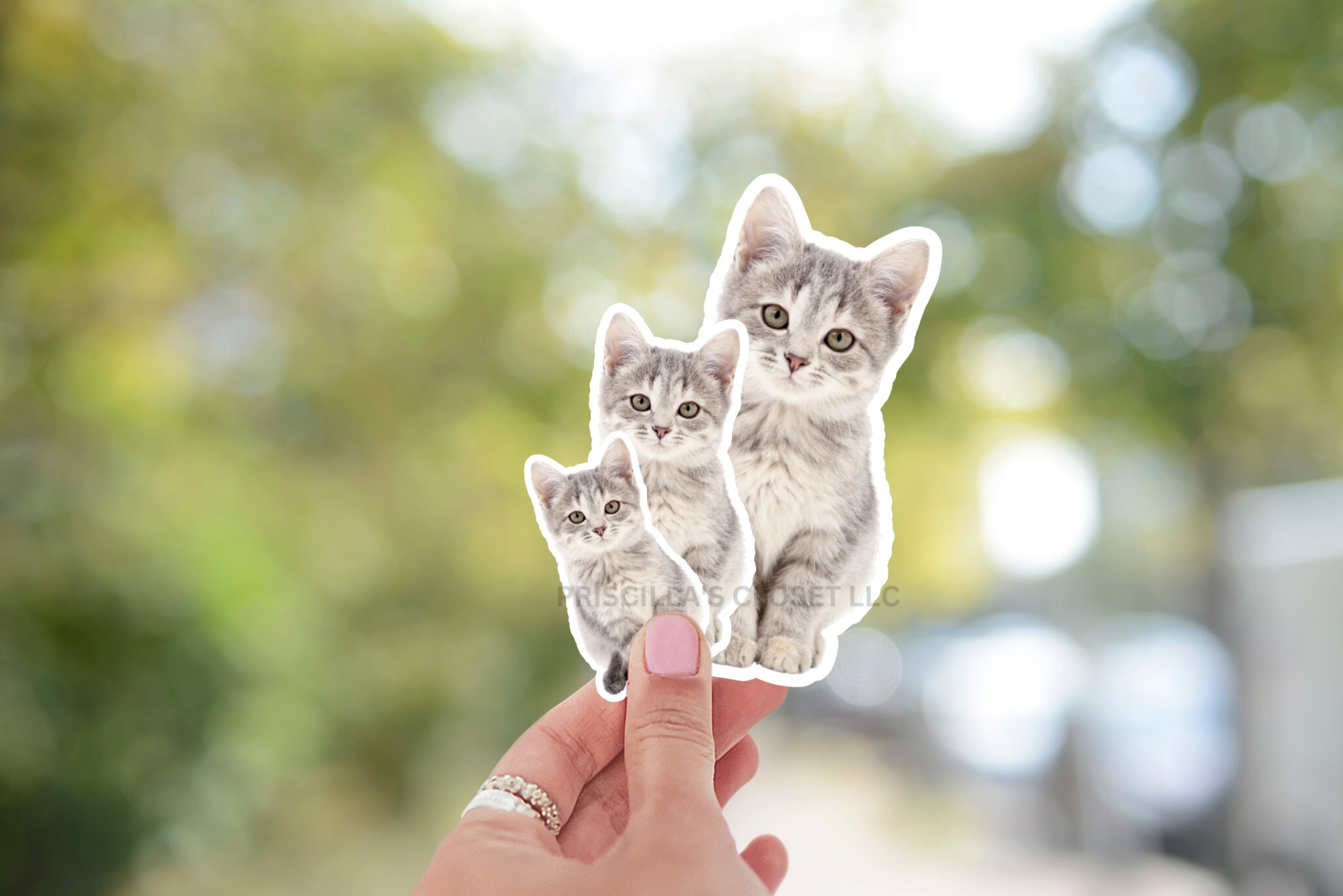 Customized Personalized 4 Pet Full Body Sticker Bundle Pack, Waterproof ...