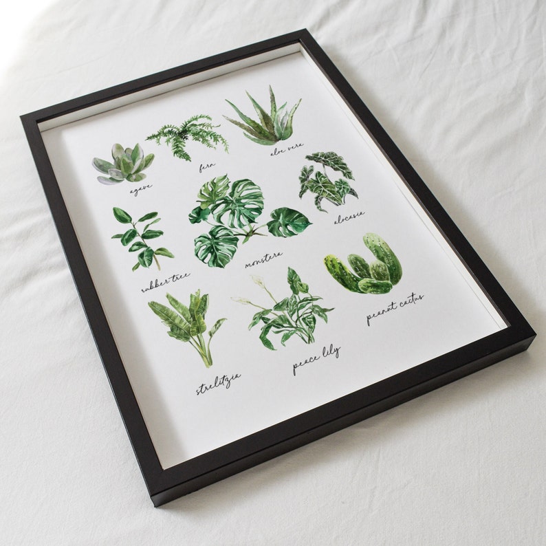 Plant Poster, Plant Wall Art, Botanical Wall Art, Plant Print, Indoor ...