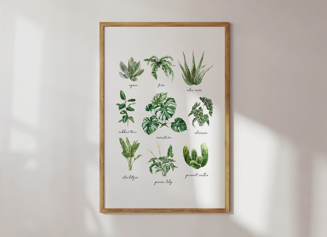 Plant Poster, Plant Wall Art, Botanical Wall Art, Plant Print, Indoor ...