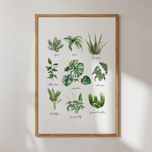 Plant Poster, Plant Wall Art, Botanical Wall Art, Plant Print, Indoor ...