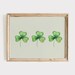 St Patricks Day Gallery Wall Bundle St.patricks Day Decor St - Etsy