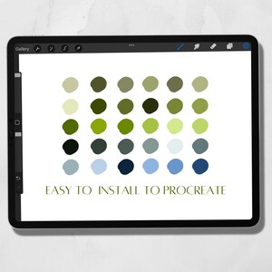 Procreate Color Swatches Instant Download Color Palette for - Etsy