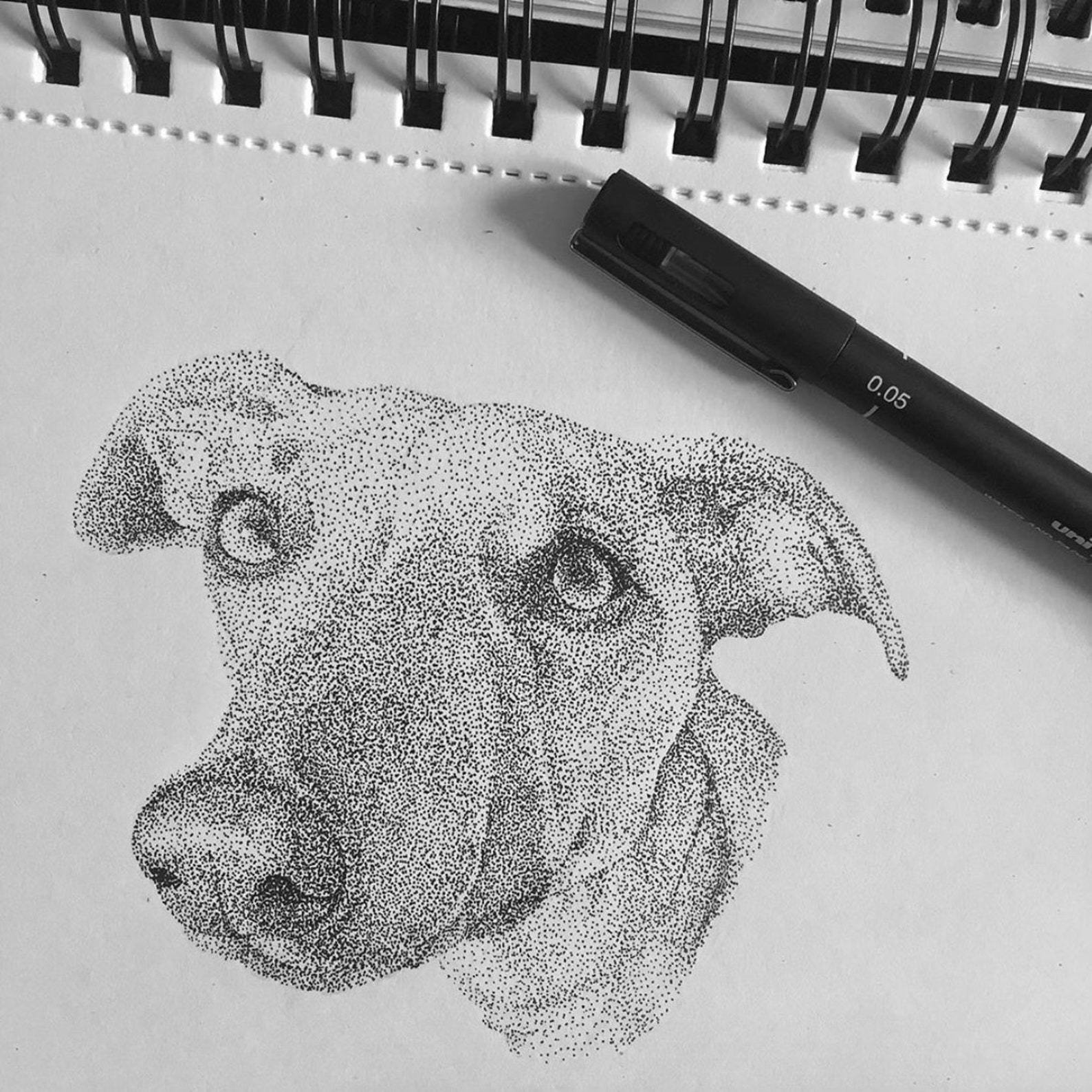 Dot Drawings Personalised Pet Portraits Digital and Printed | Etsy