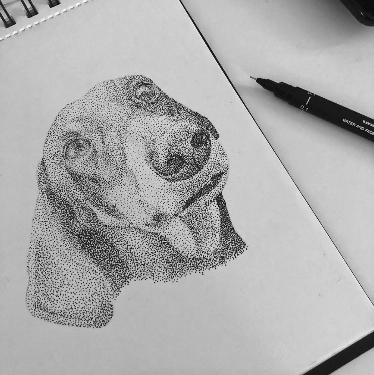 Dot Drawings Personalised Pet Portraits Digital and Printed | Etsy