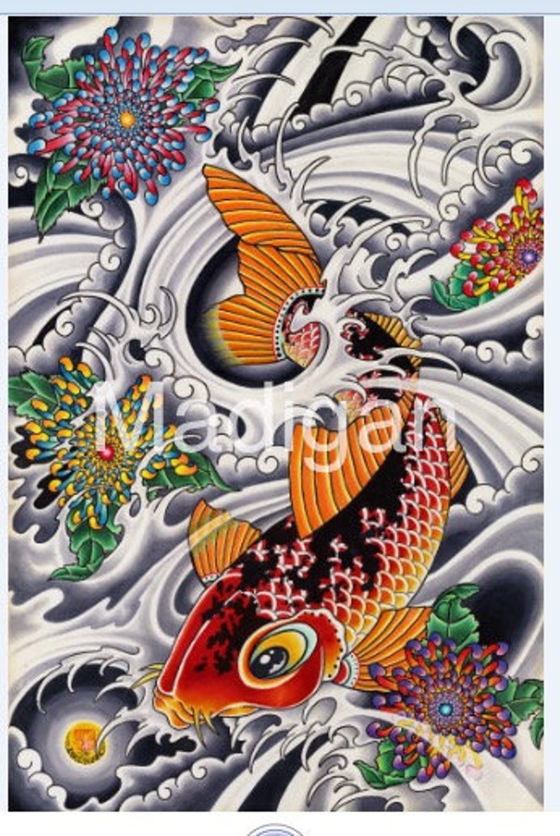 Koi / Print of Original Drawing / FL Artist - Etsy