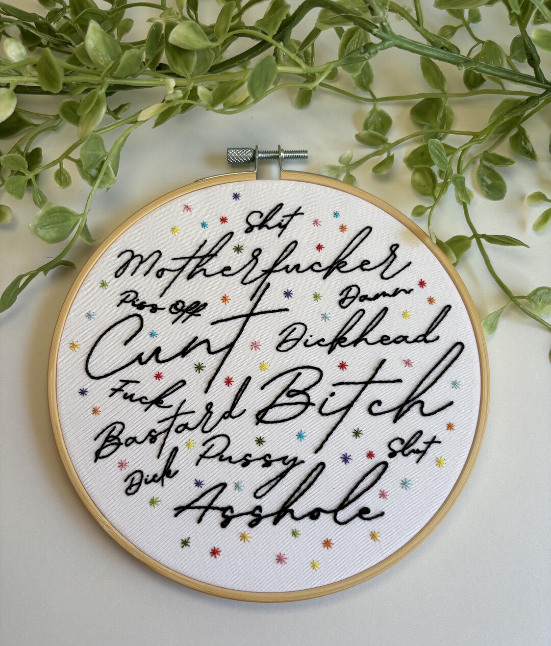 Curse Word Embroidery Hoop: Vulgar Confetti Decor, 6 Inch - Etsy UK