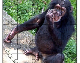 25 Piece Puzzle - Etsy