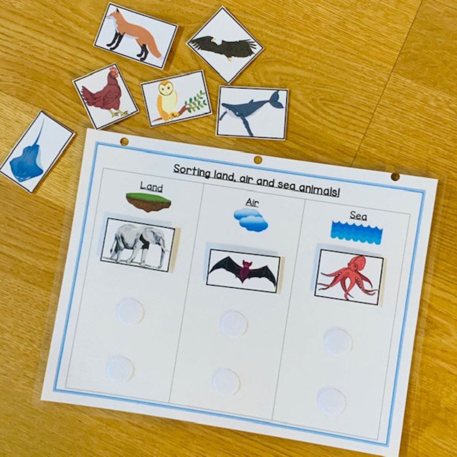 Land Air and Sea Animals Land Air and Water Transportation | Etsy