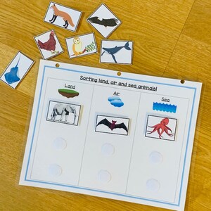 Land, Air and Sea Animals, Land, Air and Water Transportation Activity ...