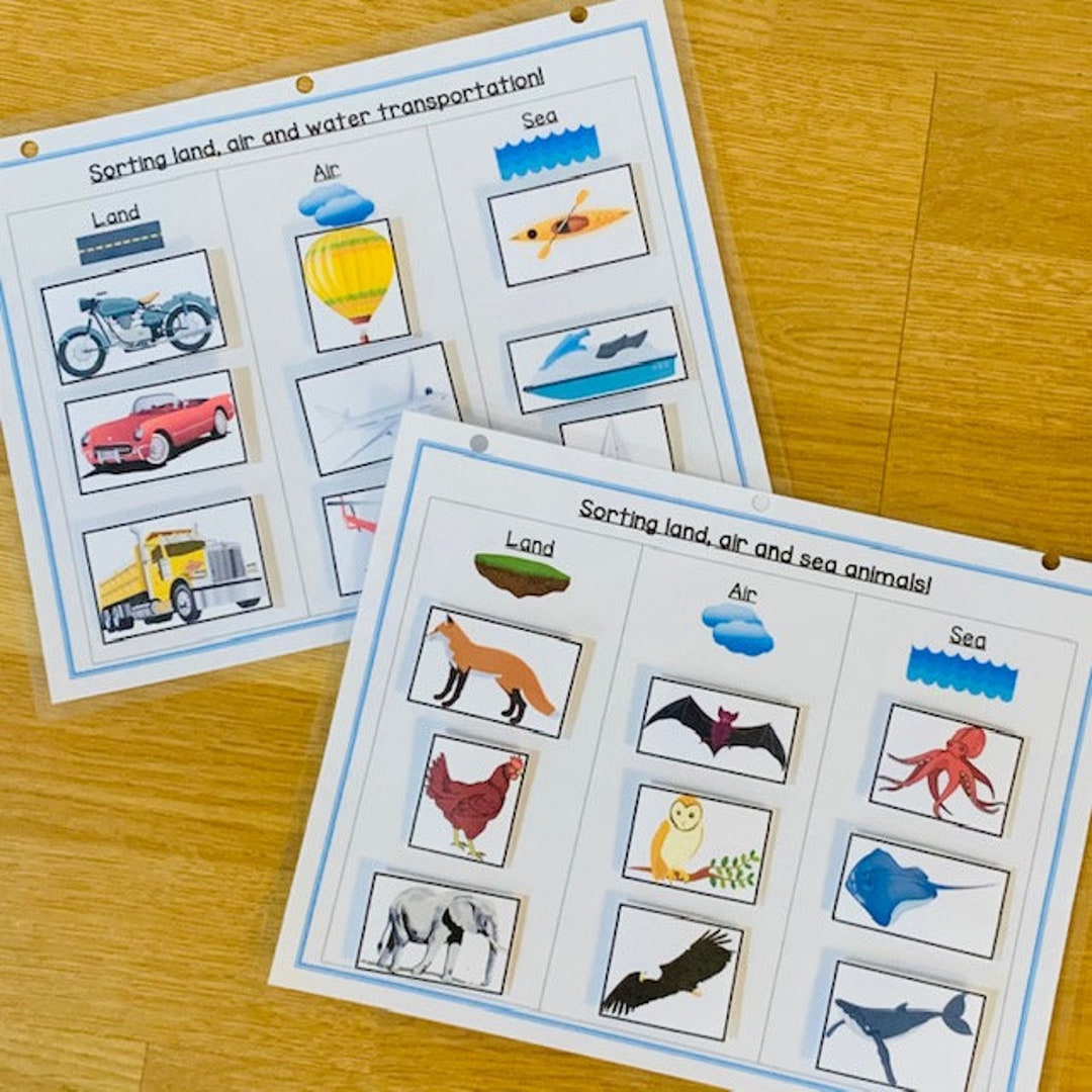 Land, Air and Sea Animals, Land, Air and Water Transportation Activity ...