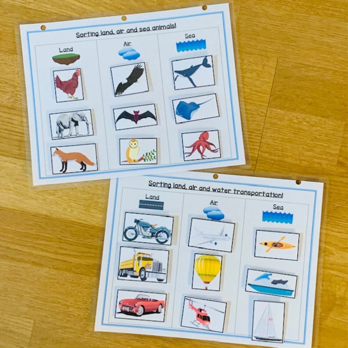 Land Air and Sea Animals Land Air and Water Transportation | Etsy