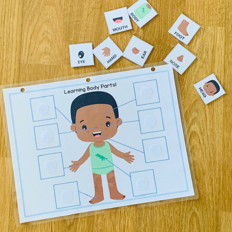 Preschool Human Body Activity Learning Body Parts Learning - Etsy
