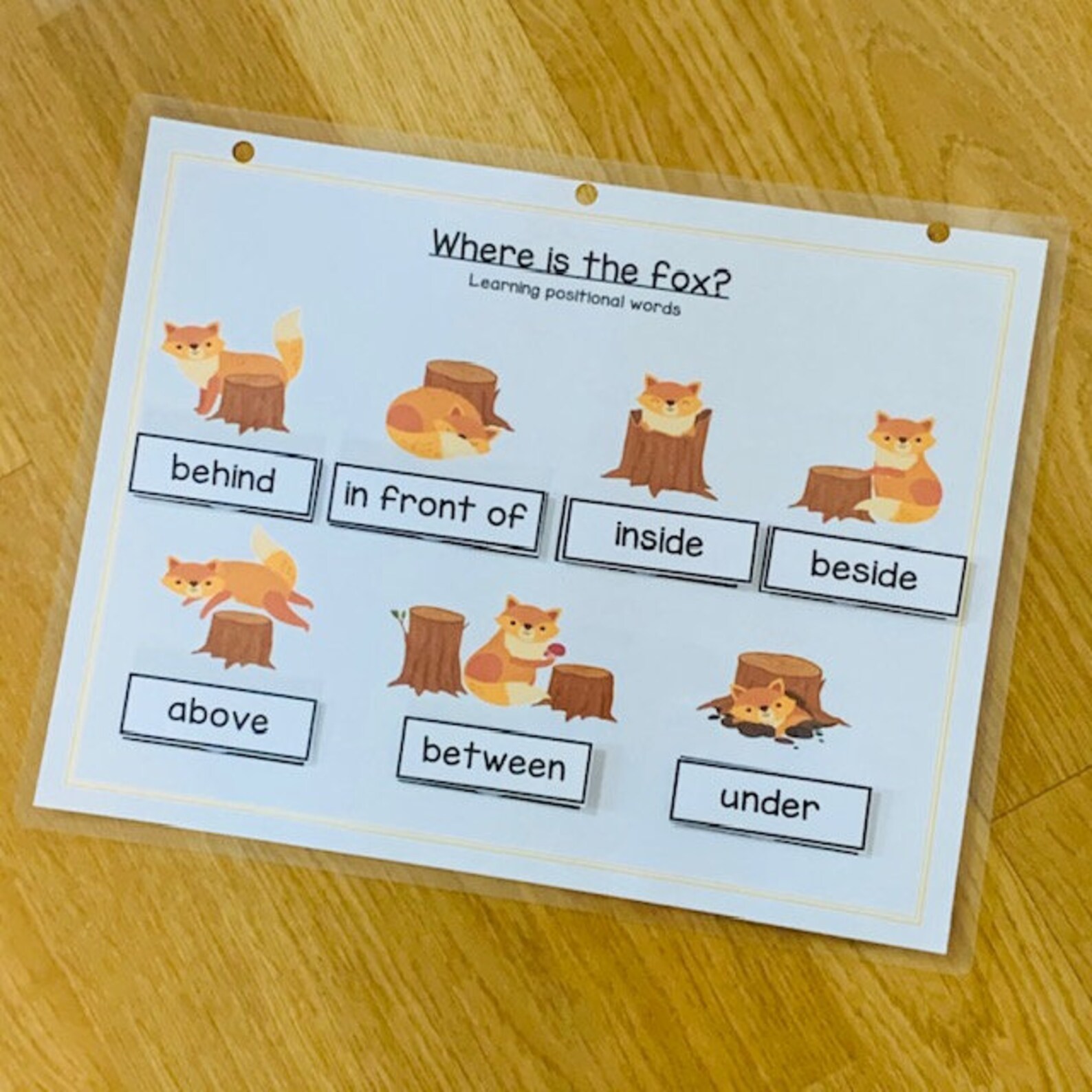 Positional Words Positional Concepts Learning Positional - Etsy