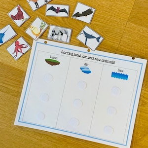 Land, Air and Sea Animals, Land, Air and Water Transportation Activity ...