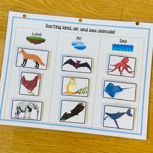 Land, Air and Sea Animals, Land, Air and Water Transportation Activity ...
