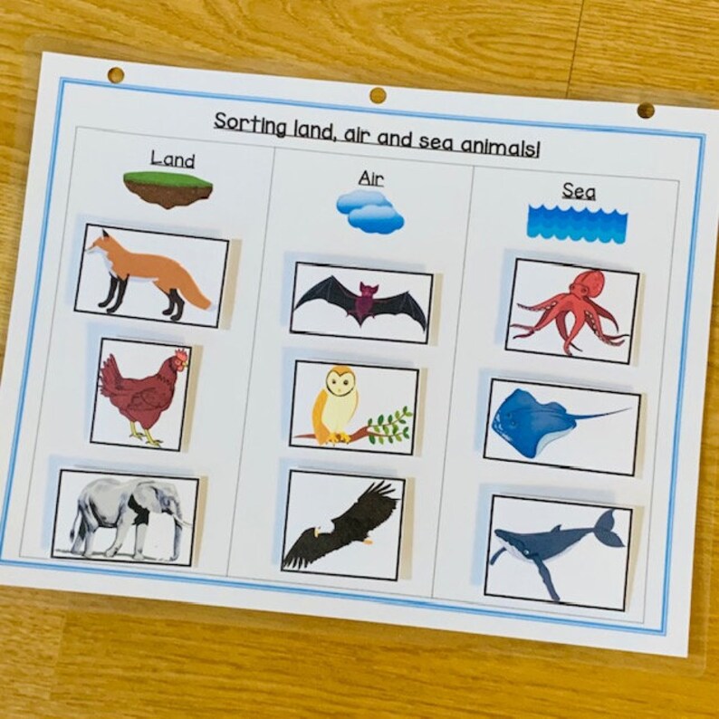 Land, Air & Sea Sorting Activity: Homeschool Kindergarten Curriculum - Etsy