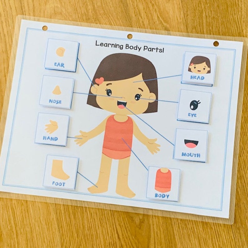 Actividad del cuerpo humano preescolar, aprendizaje de las partes del ...