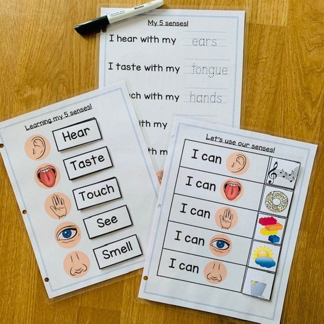 Learning About 5 Senses, Learning Five Senses Activity Set ...