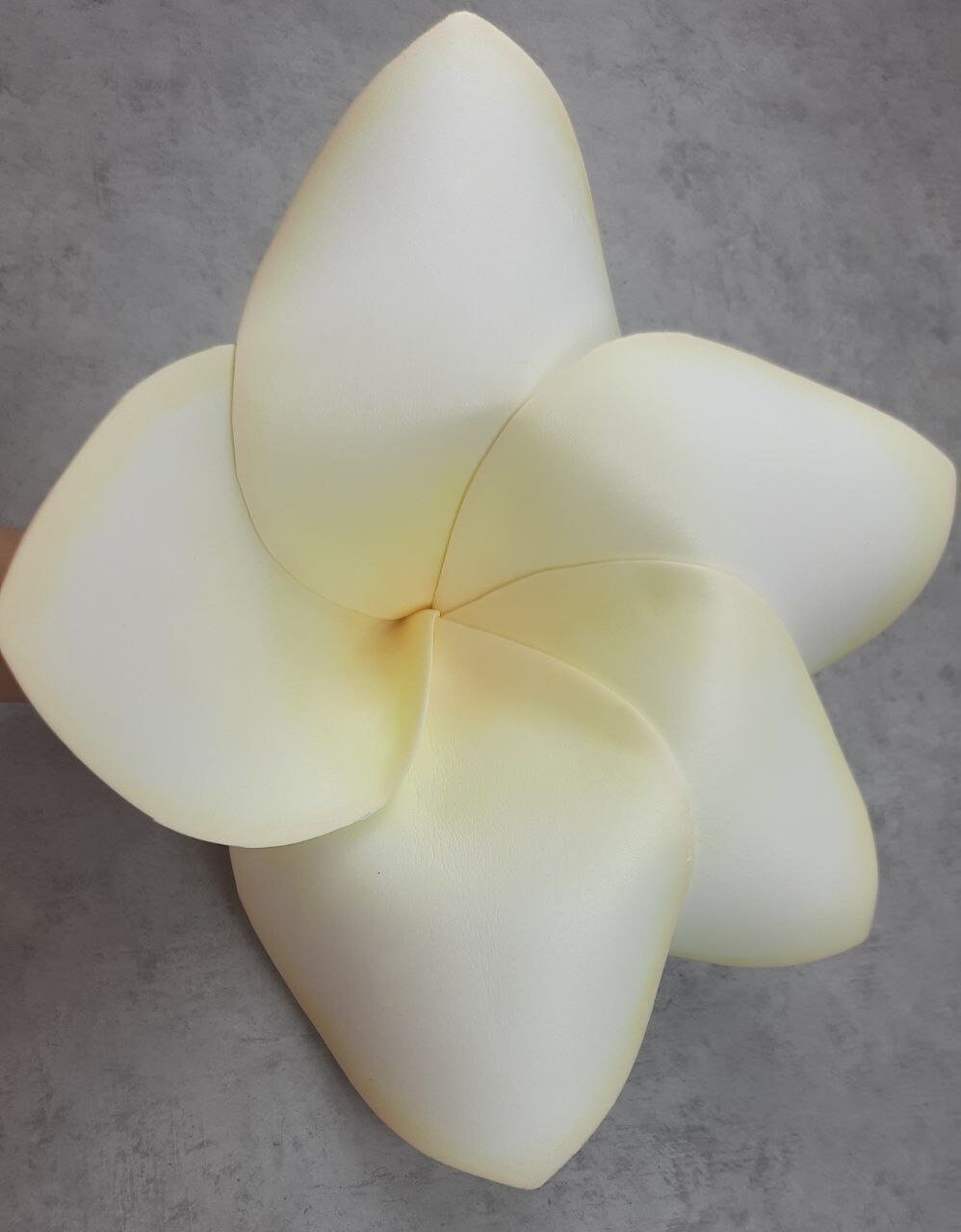 Plumeria Flowers Video Template DIY Paper Flower Paper Craft Gift ...