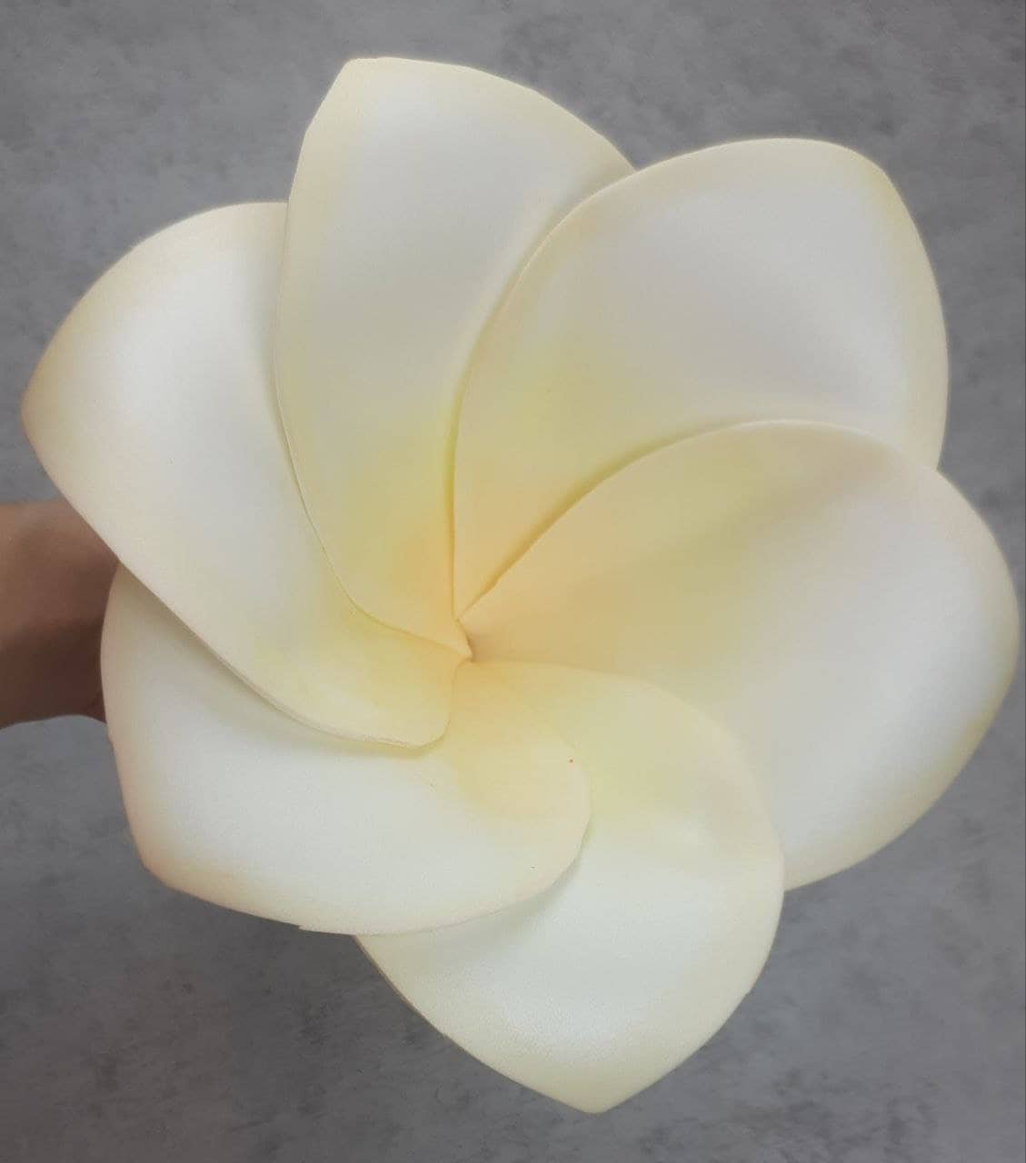 Plumeria Flowers Video Template DIY Paper Flower Paper Craft Gift ...