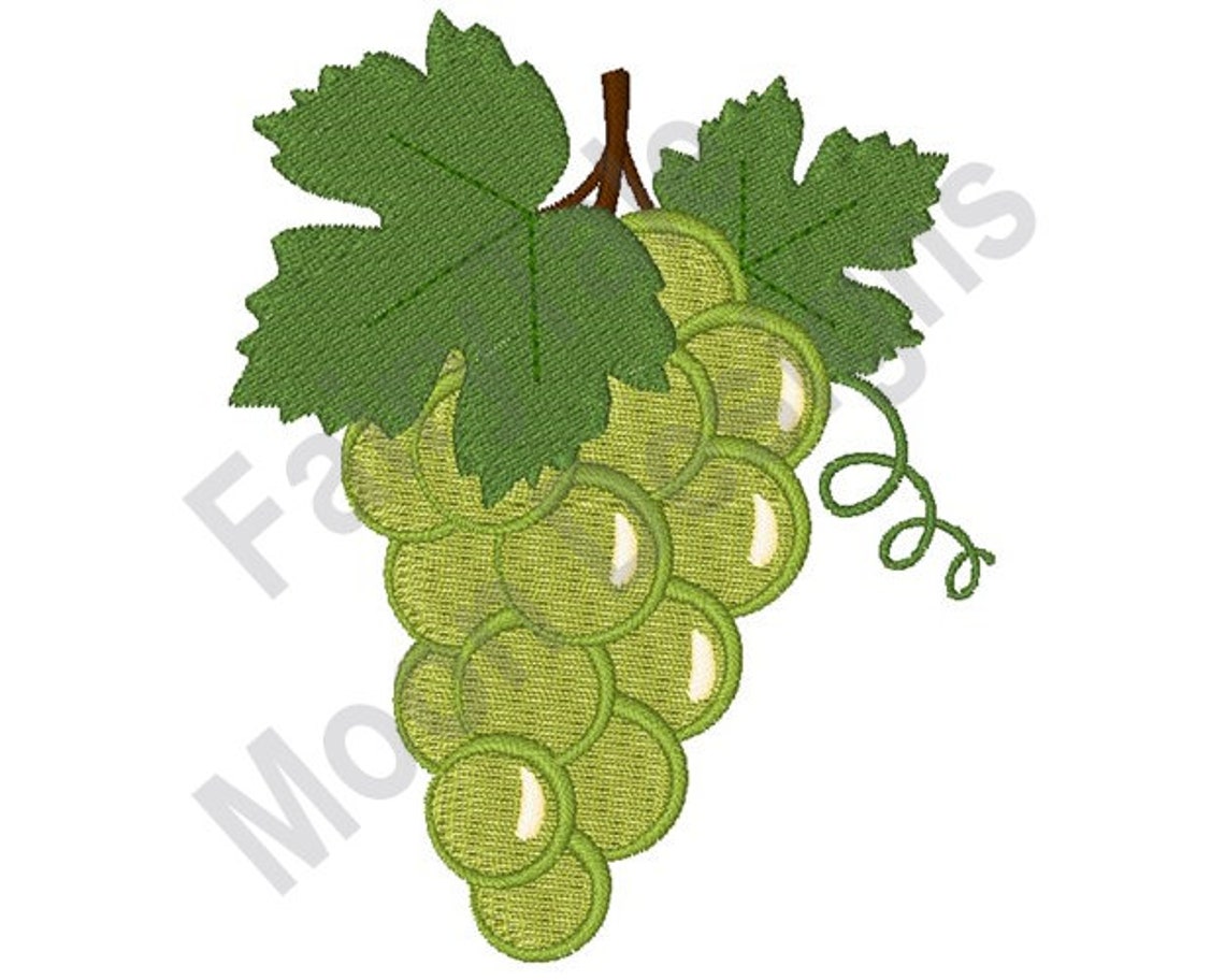 Bunch of Grapes - Machine Embroidery Design, Muscat Grapes Embroidery ...